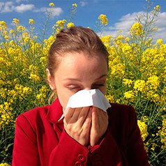 ¿Para qué Sirve la Clorfenamina? | Compuesta, Derimeton, Perrigo, Docsi